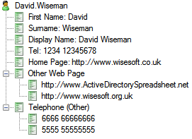 Password Control - Display Properties - wiseDATAman